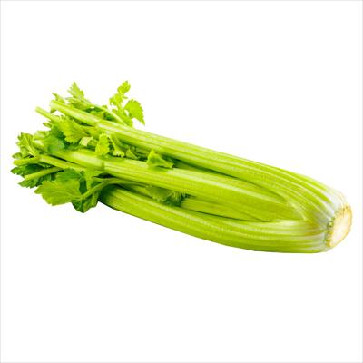 Sedano Bio | Foodoteka