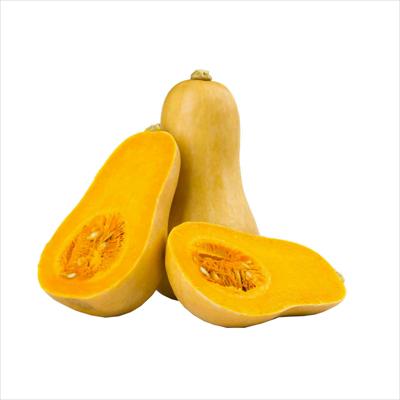 Zucca Butternut Bio | Foodoteka