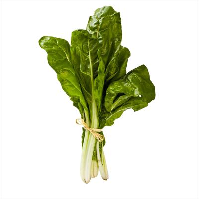 Bietola Biologica | Foodoteka