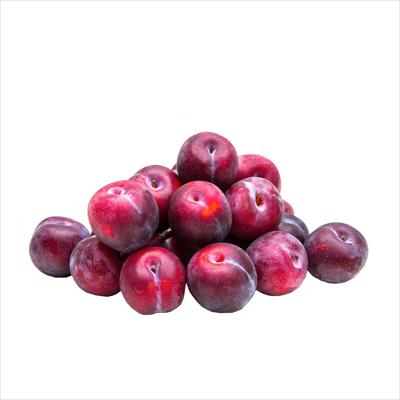 Susine Nere Bio | Foodoteka