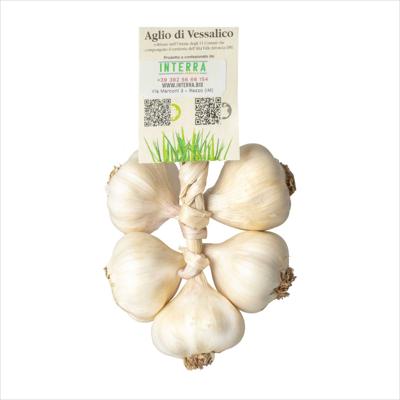 Aglio di Vessalico Resta da 5 Teste | Foodoteka