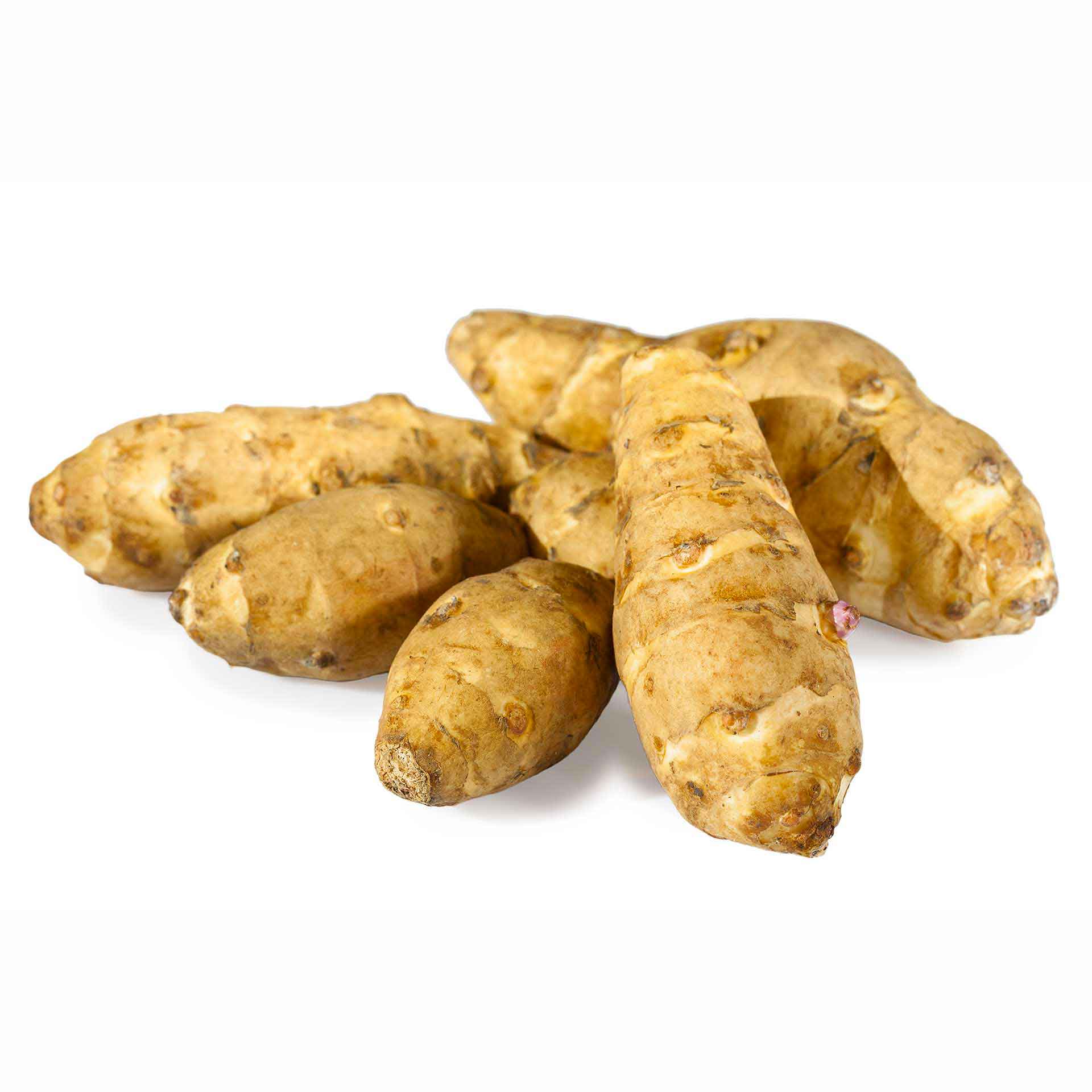 Topinambur Bio | Foodoteka