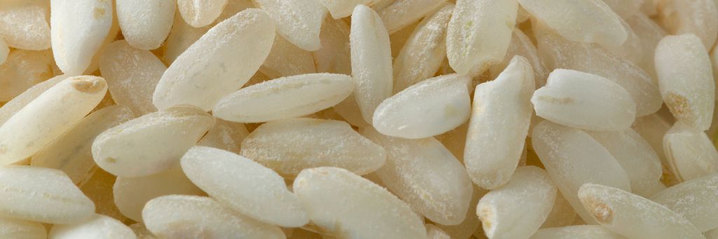Vendita Riso Online – Integrale e 100% Italiano | Foodoteka