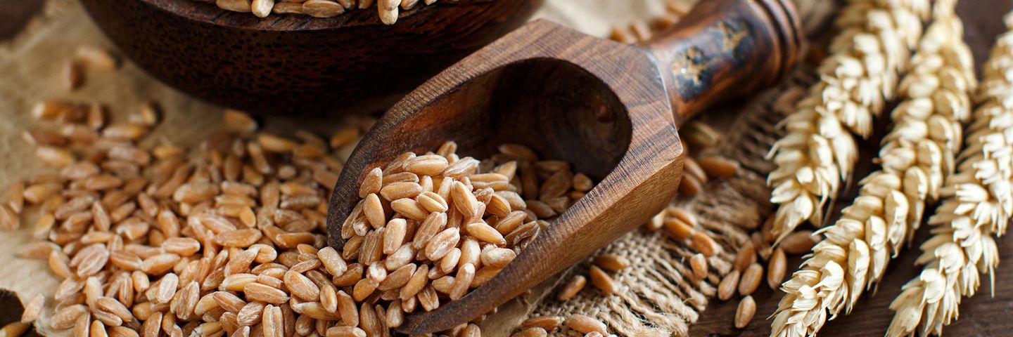 Cereali Biologici Vendita Online - Produttori Artigianali | Foodoteka