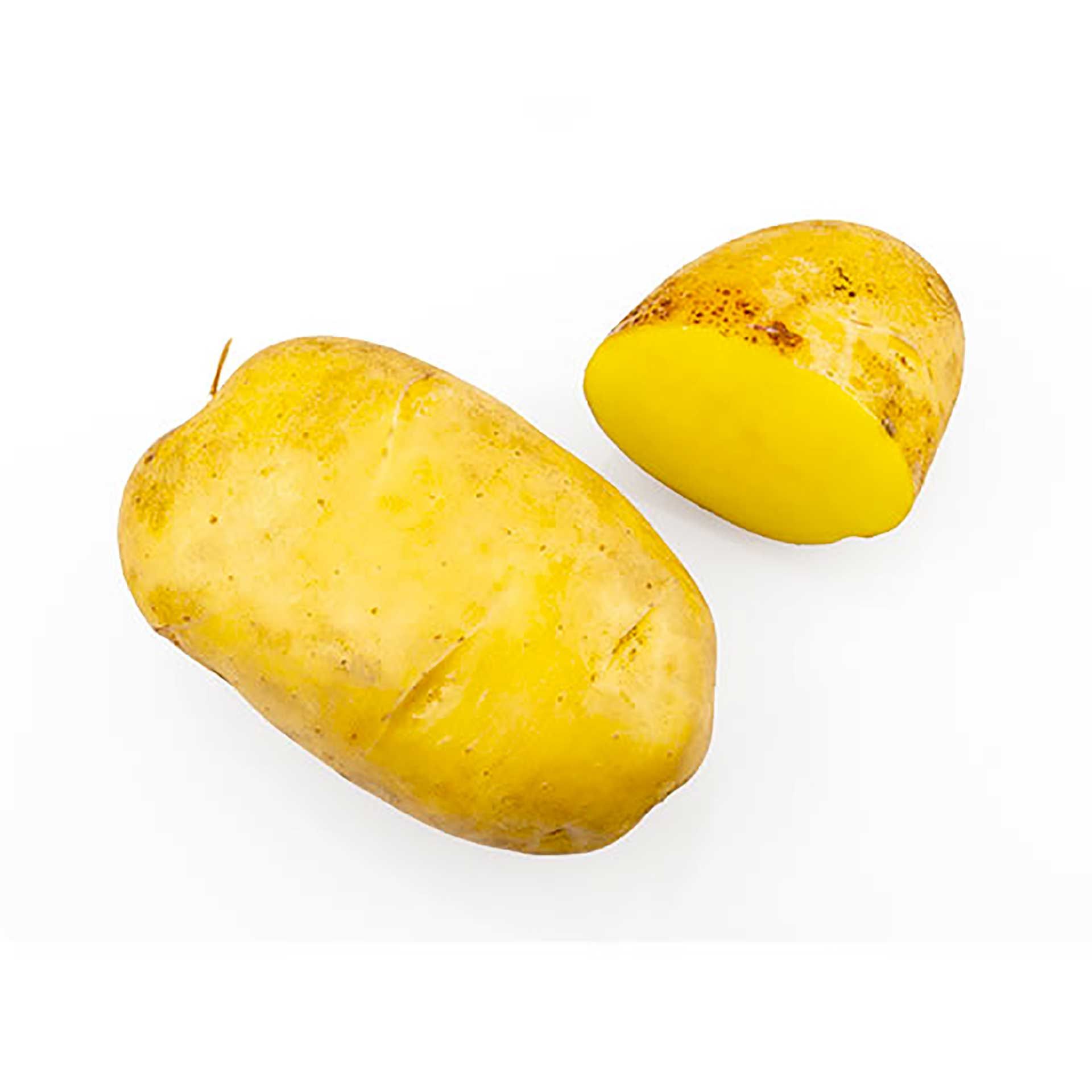 Patate pasta gialla, Agria | Foodoteka