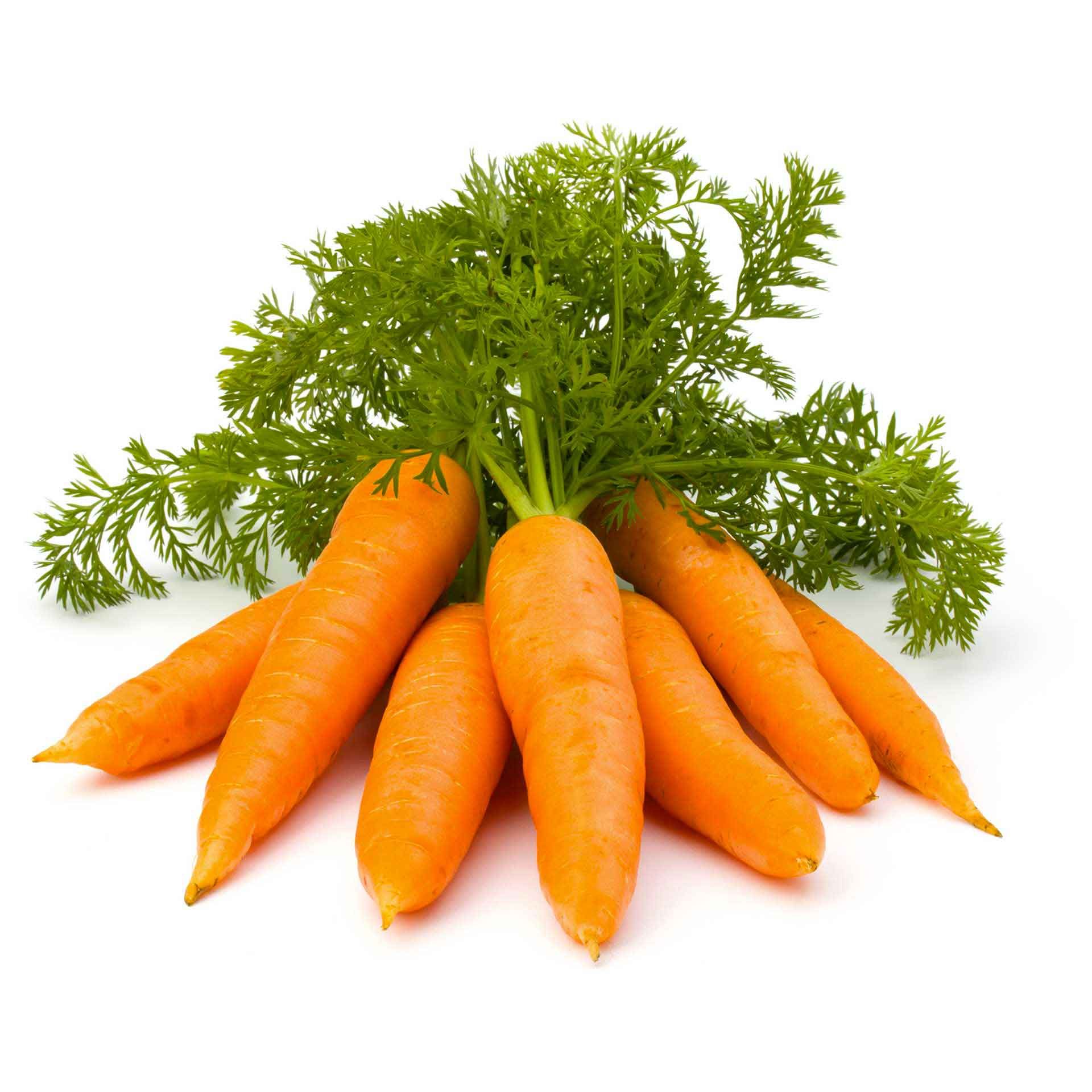 Carote Biologiche con ciuffo | Foodoteka
