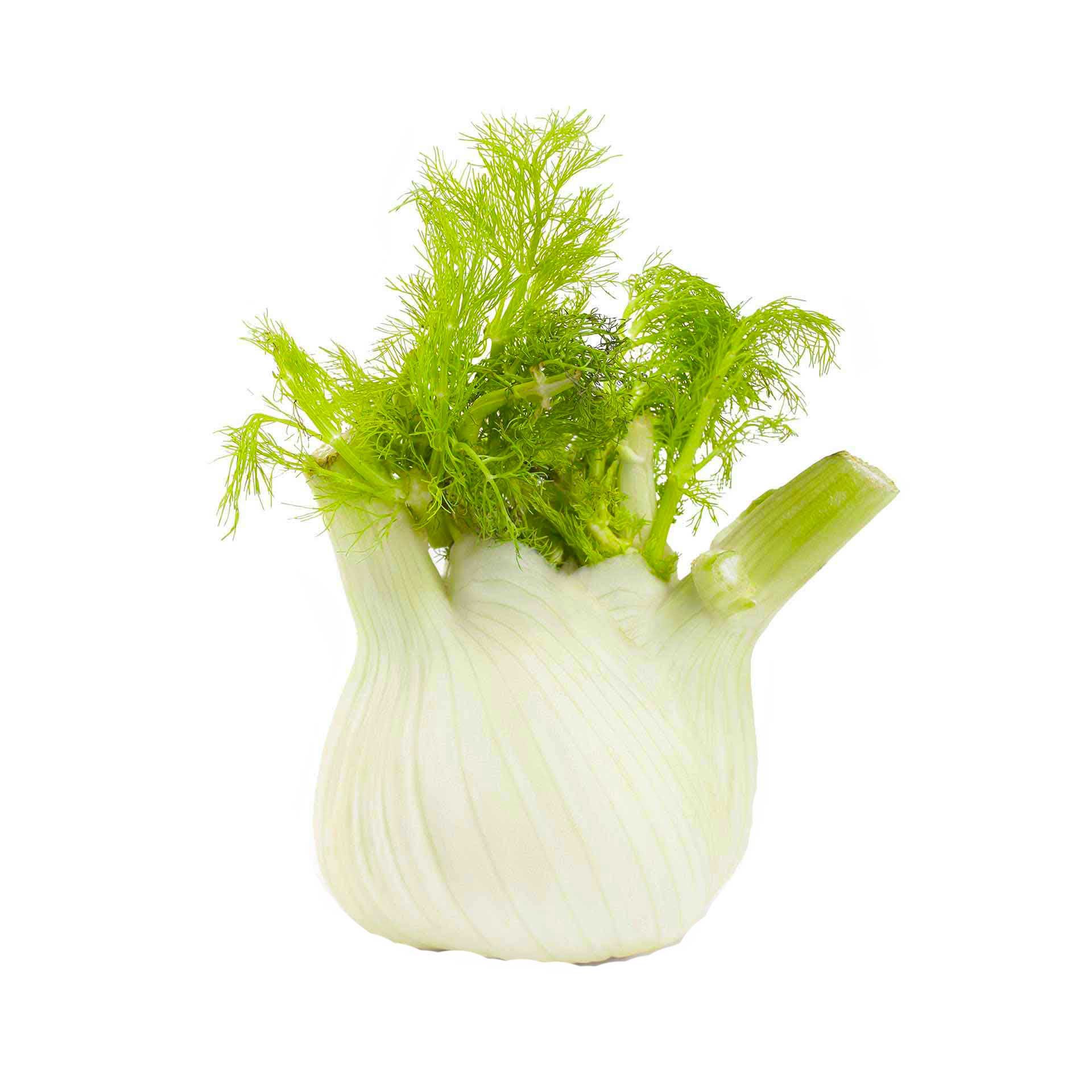 Finocchi Bio | Foodoteka