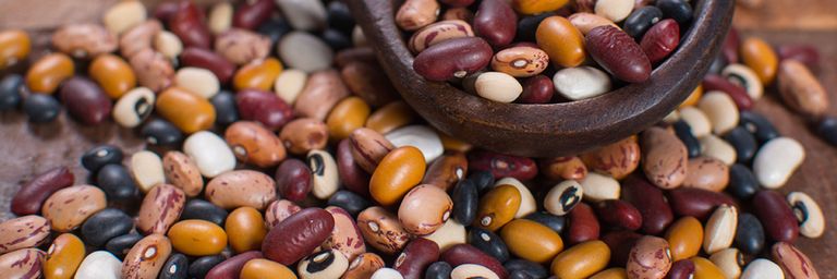 Legumi Biologici Vendita Online - Produttori Artigianali | Foodoteka